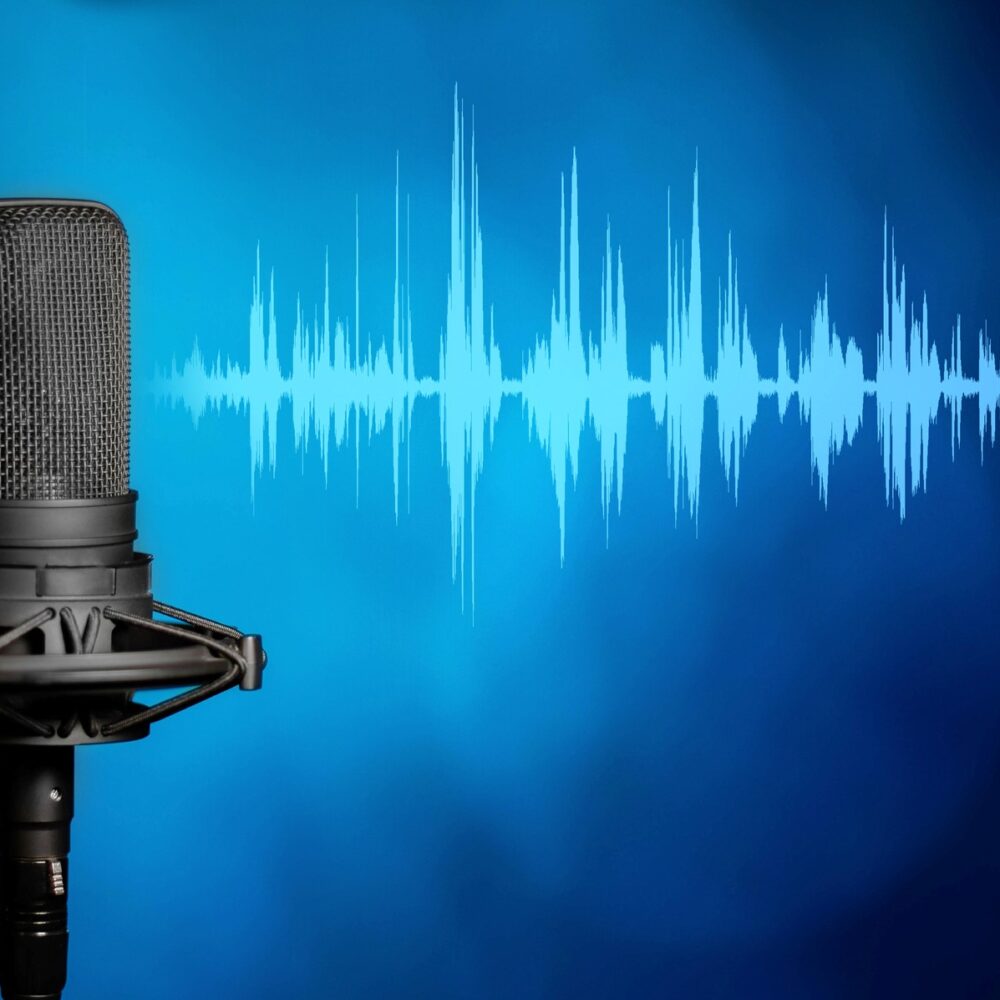 2024 Year in Review and Looking Ahead to 2025 - TFAH